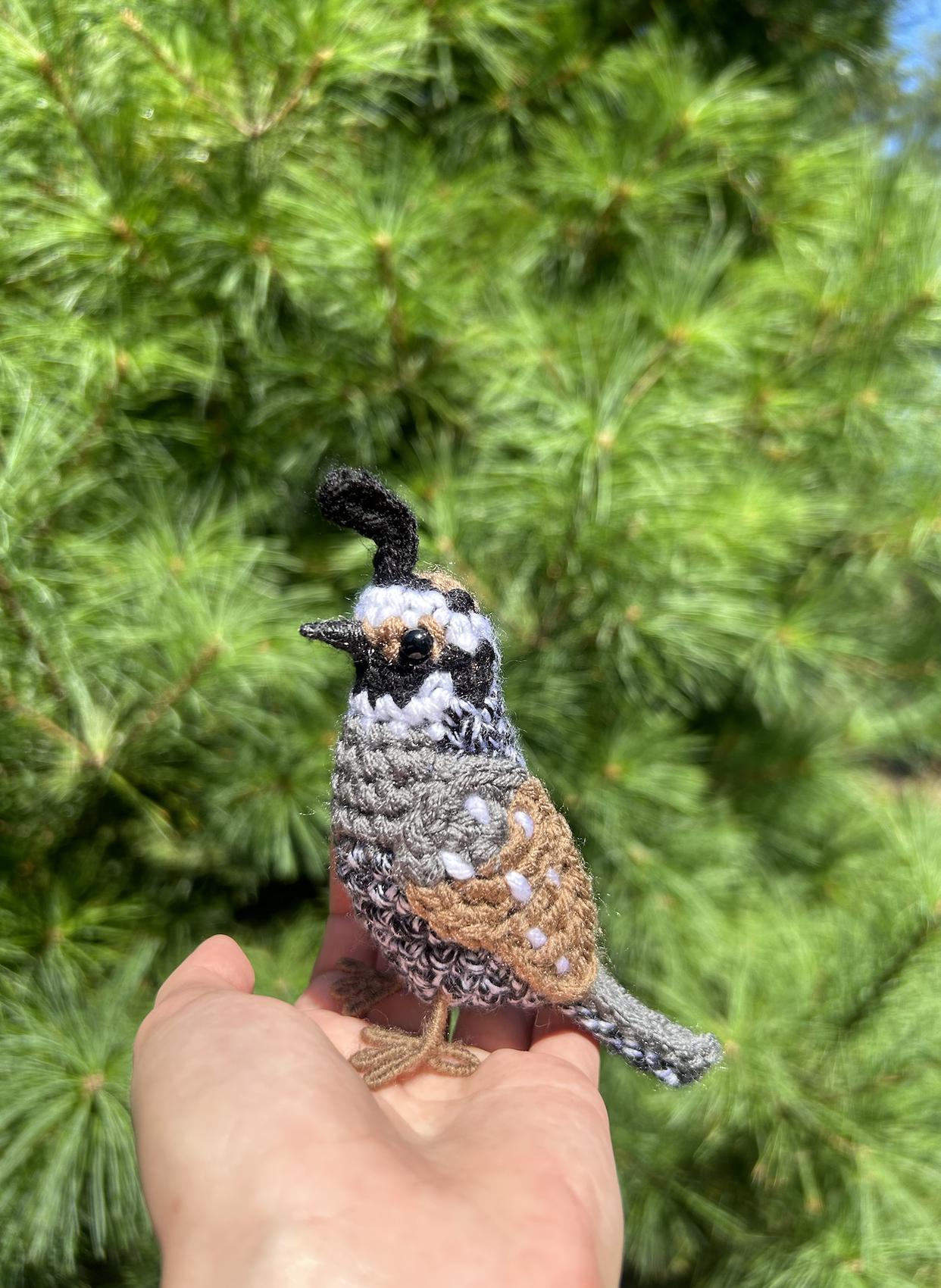 California Quail Written Crochet Pattern | Crochet Bird Amigurumi ...