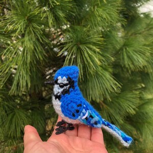Beautiful Blue Jay Written Crochet Pattern | Realistic Bird Crochet ...