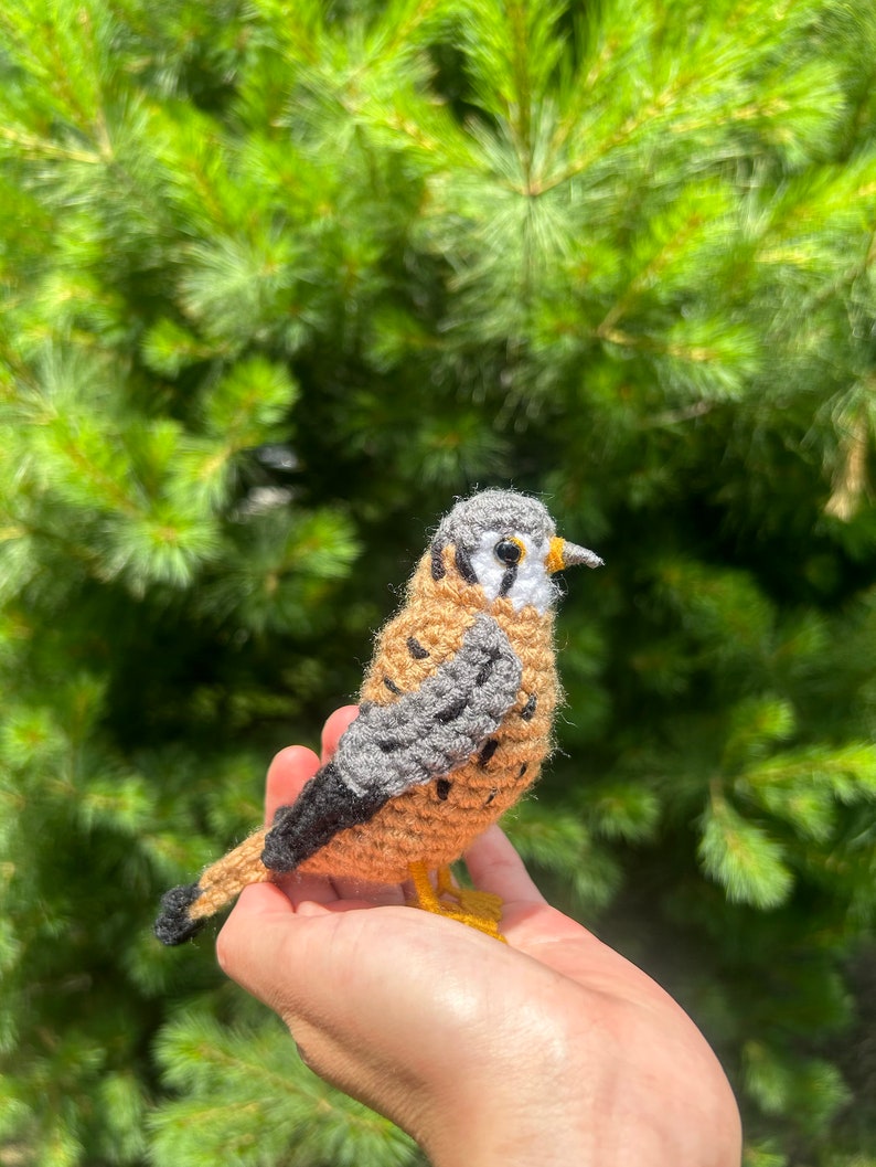 American Kestrel Written Crochet Pattern | Crochet Bird Amigurumi ...