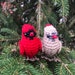 Male + Female Cardinal Crochet Pattern Bundle | Realistic Bird Crochet ...