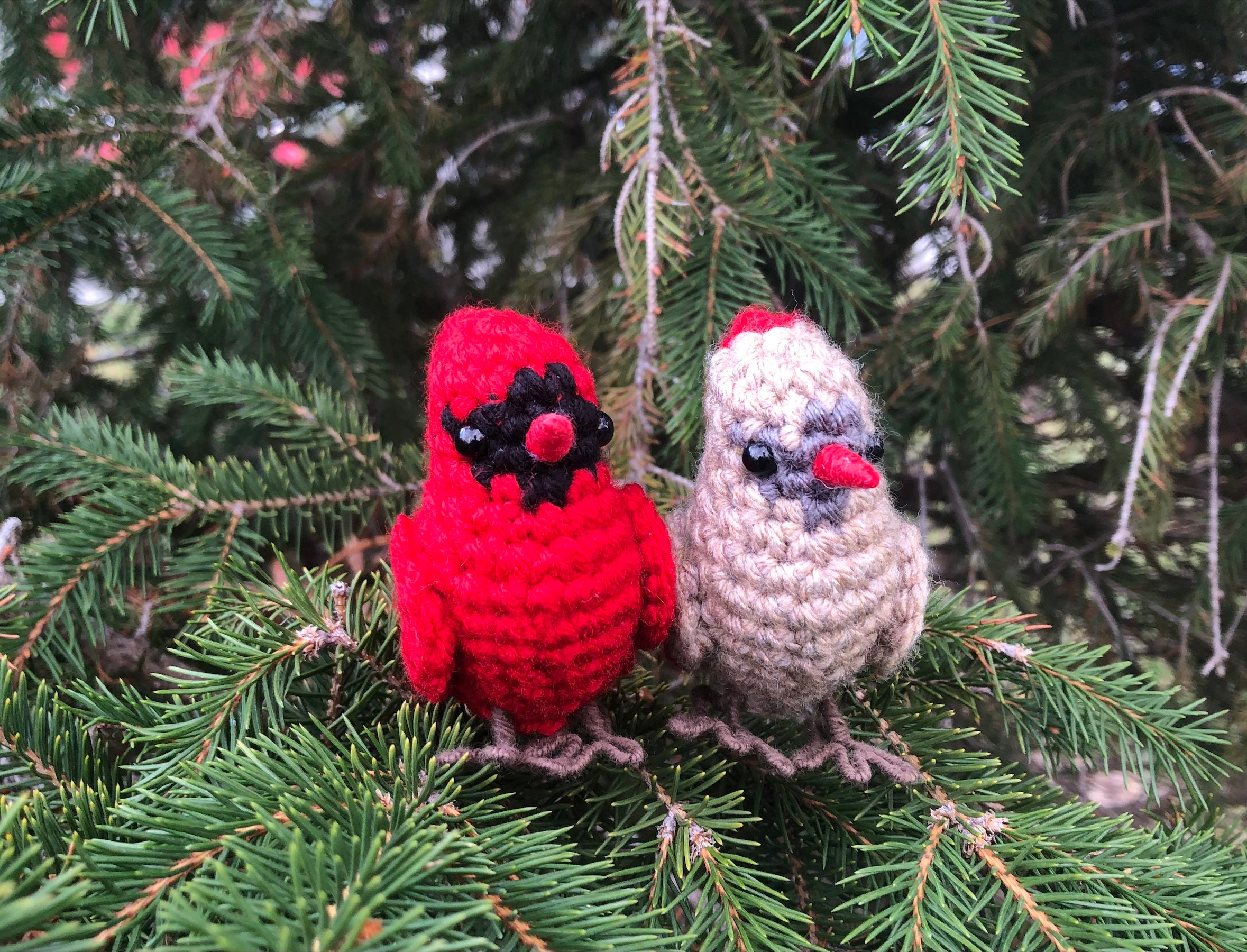 Male + Female Cardinal Crochet Pattern Bundle | Realistic Bird Crochet ...