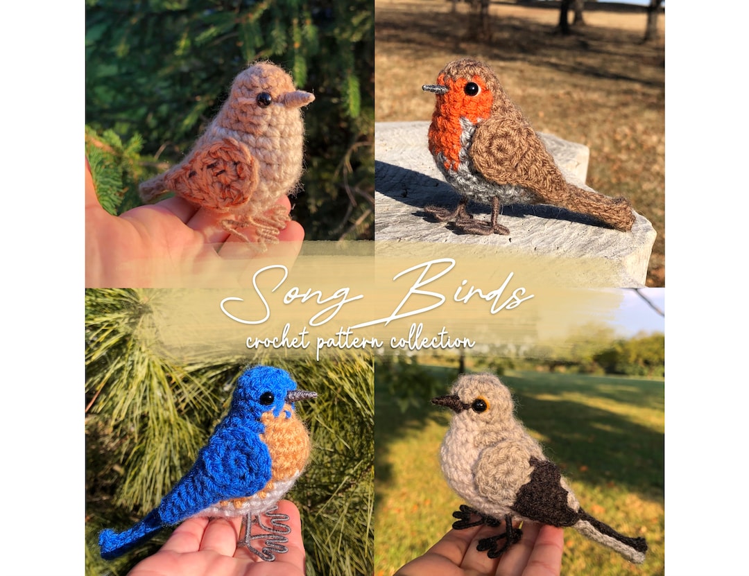 Song Birds Crochet Pattern Bundle | 4 Realistic Crochet Birds Written ...
