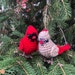 Male + Female Cardinal Crochet Pattern Bundle | Realistic Bird Crochet ...