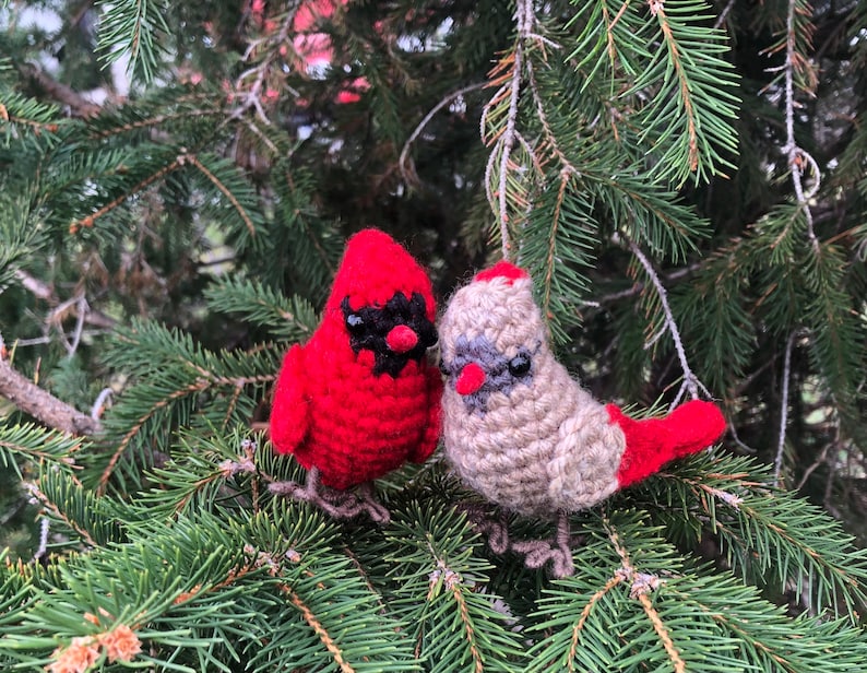 Male + Female Cardinal Crochet Pattern Bundle | Realistic Bird Crochet ...