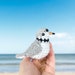 Piping Plover Written Crochet Pattern | Realistic Crochet Amigurumi ...