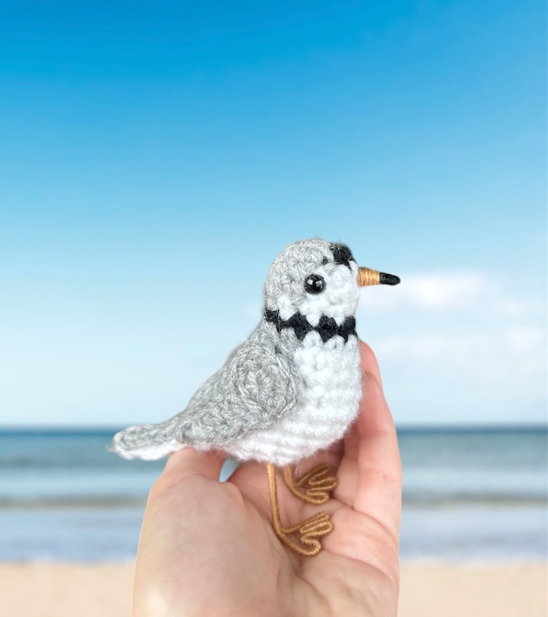 Piping Plover Written Crochet Pattern | Realistic Crochet Amigurumi ...