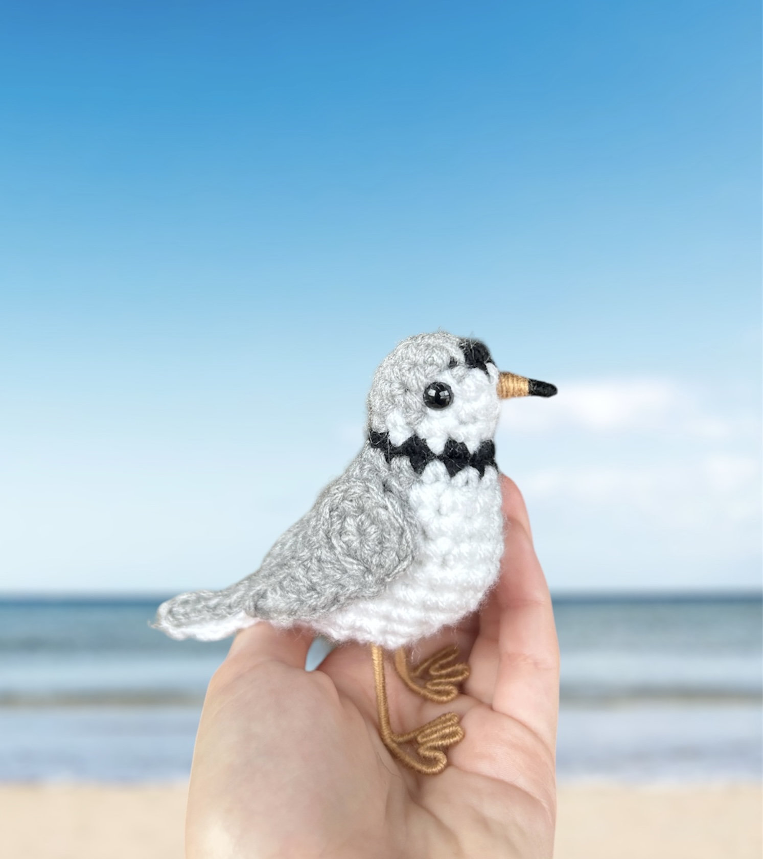 Piping Plover Written Crochet Pattern | Realistic Crochet Amigurumi ...