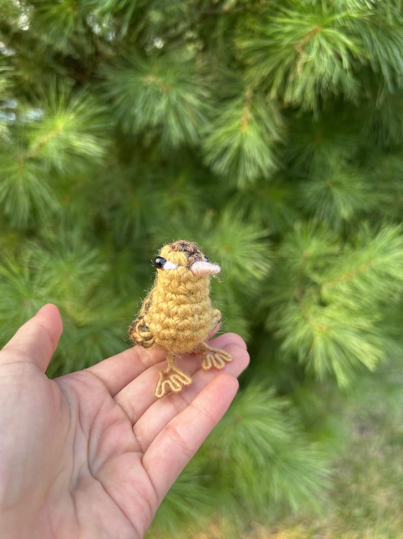 Quail Chick Written Crochet Pattern | Crochet Bird Amigurumi | Crochet ...
