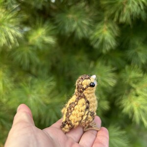 Quail Chick Written Crochet Pattern | Crochet Bird Amigurumi | Crochet ...