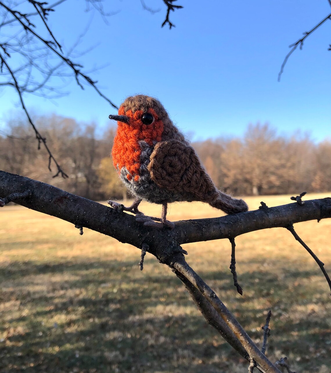 Crochet Little European Robin Crochet Amigurumi Crochet - Etsy