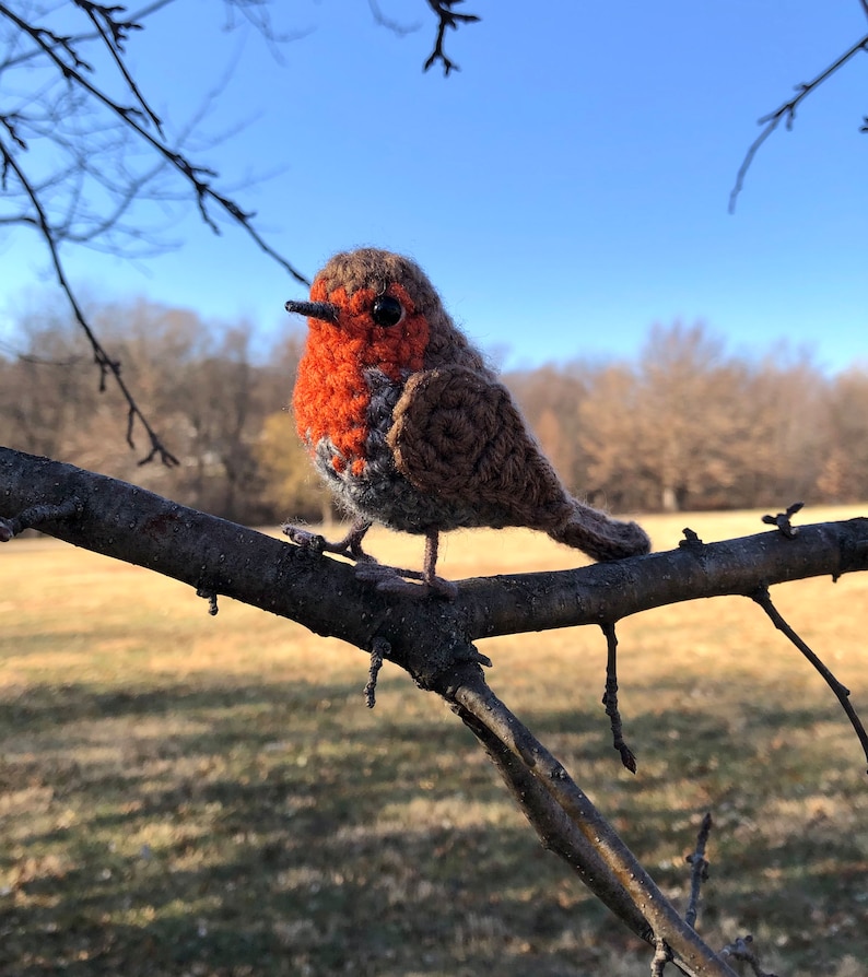 Crochet Little European Robin | Crochet Amigurumi | Crochet Plush Toy ...