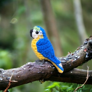 Blue and Yellow Macaw Written Crochet Pattern | Realistic Parrot ...