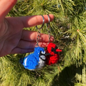 Tiny Birdies Crochet Blue Jay & Cardinal Keychain | Crochet Bird ...