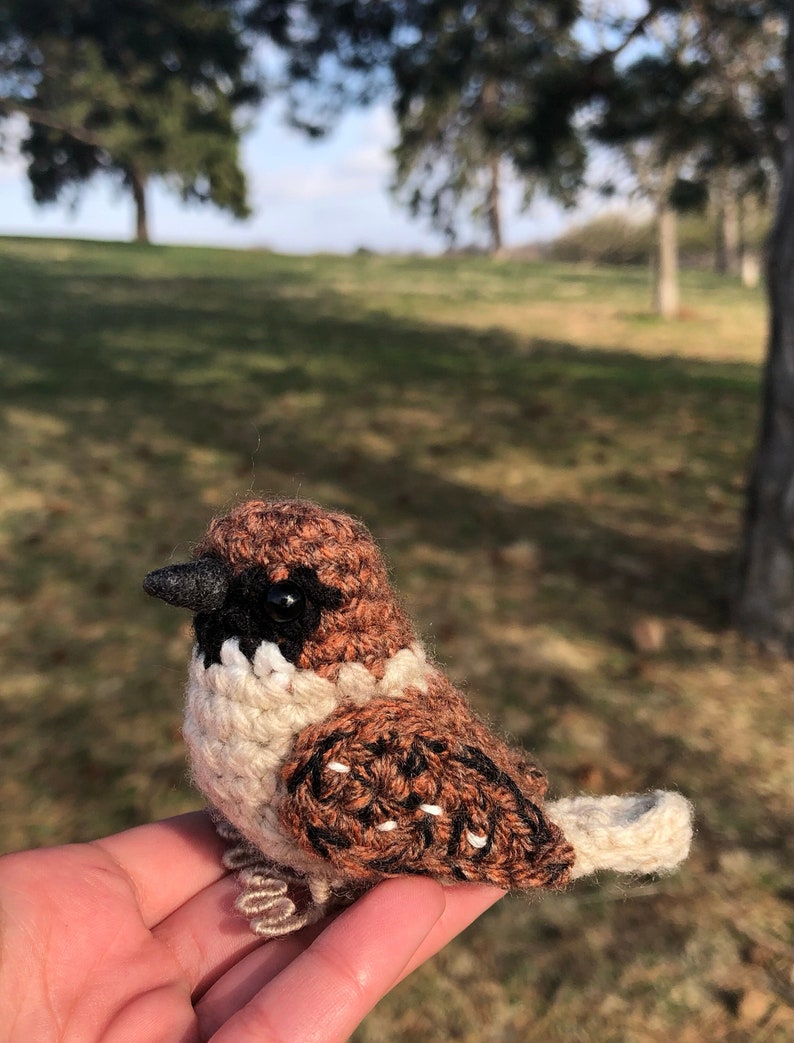 Male + Female Sparrow Crochet Pattern Bundle | Realistic Garden Bird ...