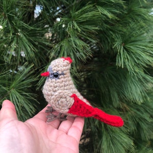 Female Cardinal Written Crochet Pattern | Crochet Amigurumi | Realistic ...