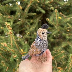 Female California Quail Written Crochet Pattern | Crochet Bird ...