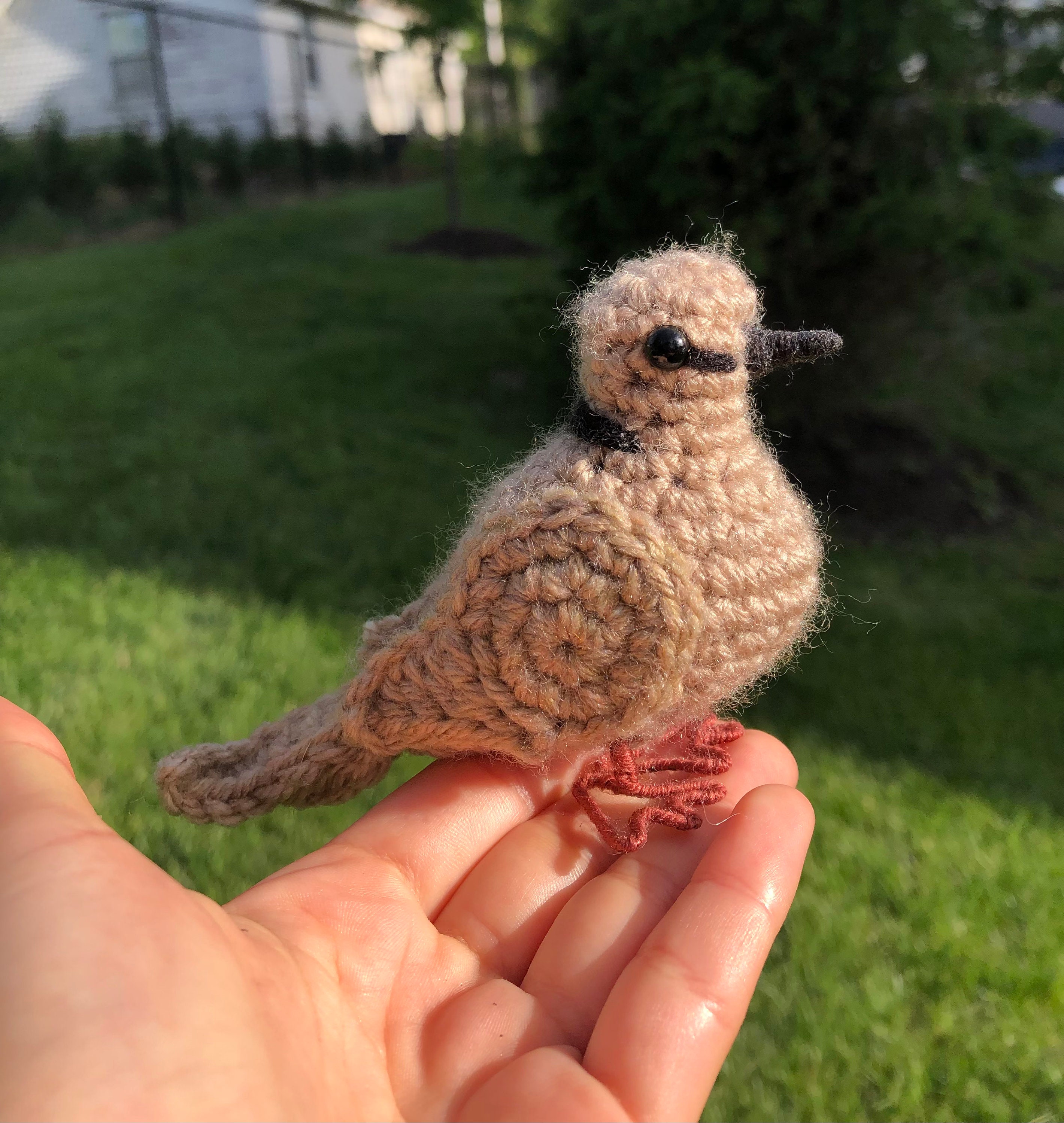 Little Ring-necked Dove Crochet Pattern | Realistic Bird Pattern ...