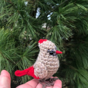 Crochet Female Cardinal | Crochet Amigurumi | Crochet Plush Toy Figure ...