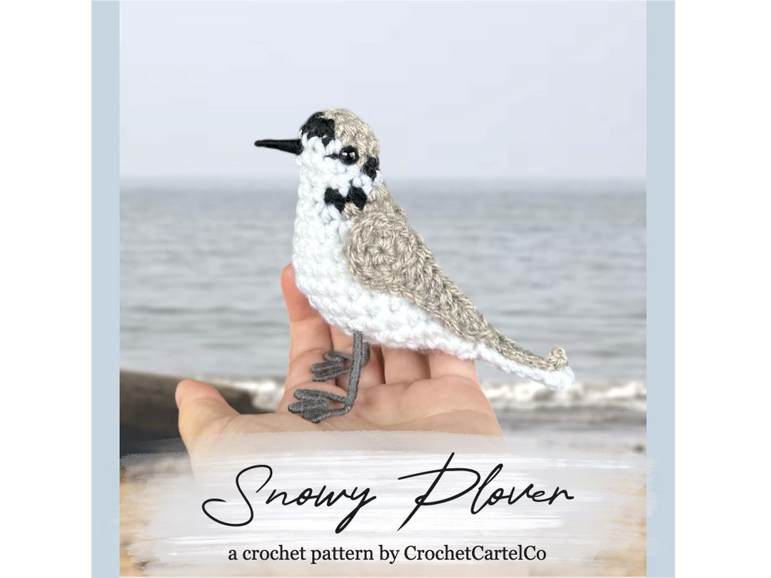Snowy Plover Written Crochet Pattern | Realistic Crochet Amigurumi Bird ...