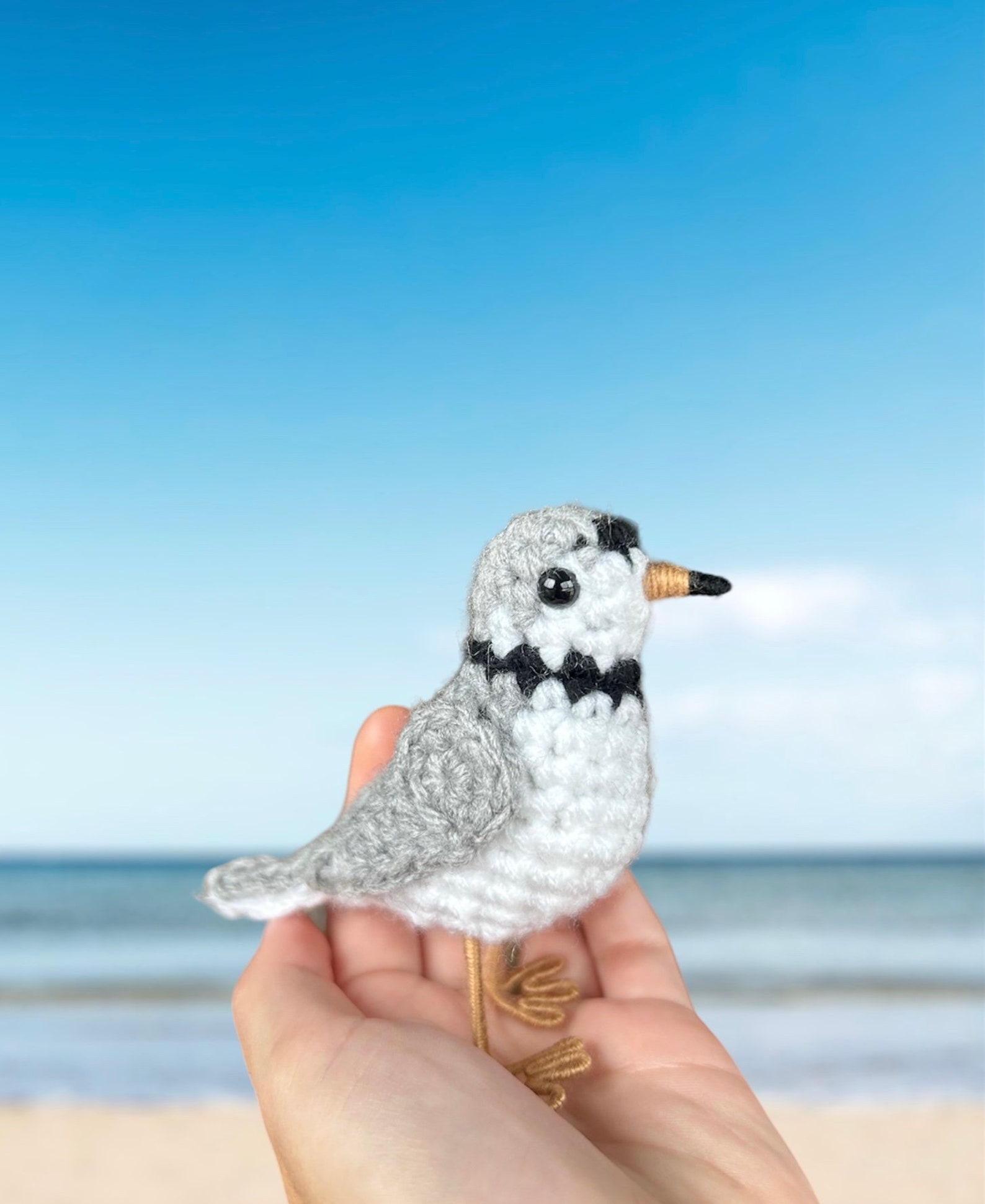 Piping Plover Written Crochet Pattern | Realistic Crochet Amigurumi ...