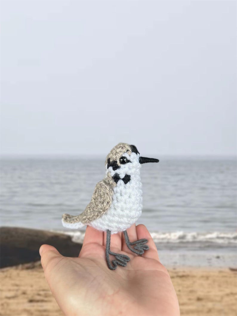 Snowy Plover Written Crochet Pattern | Realistic Crochet Amigurumi Bird ...