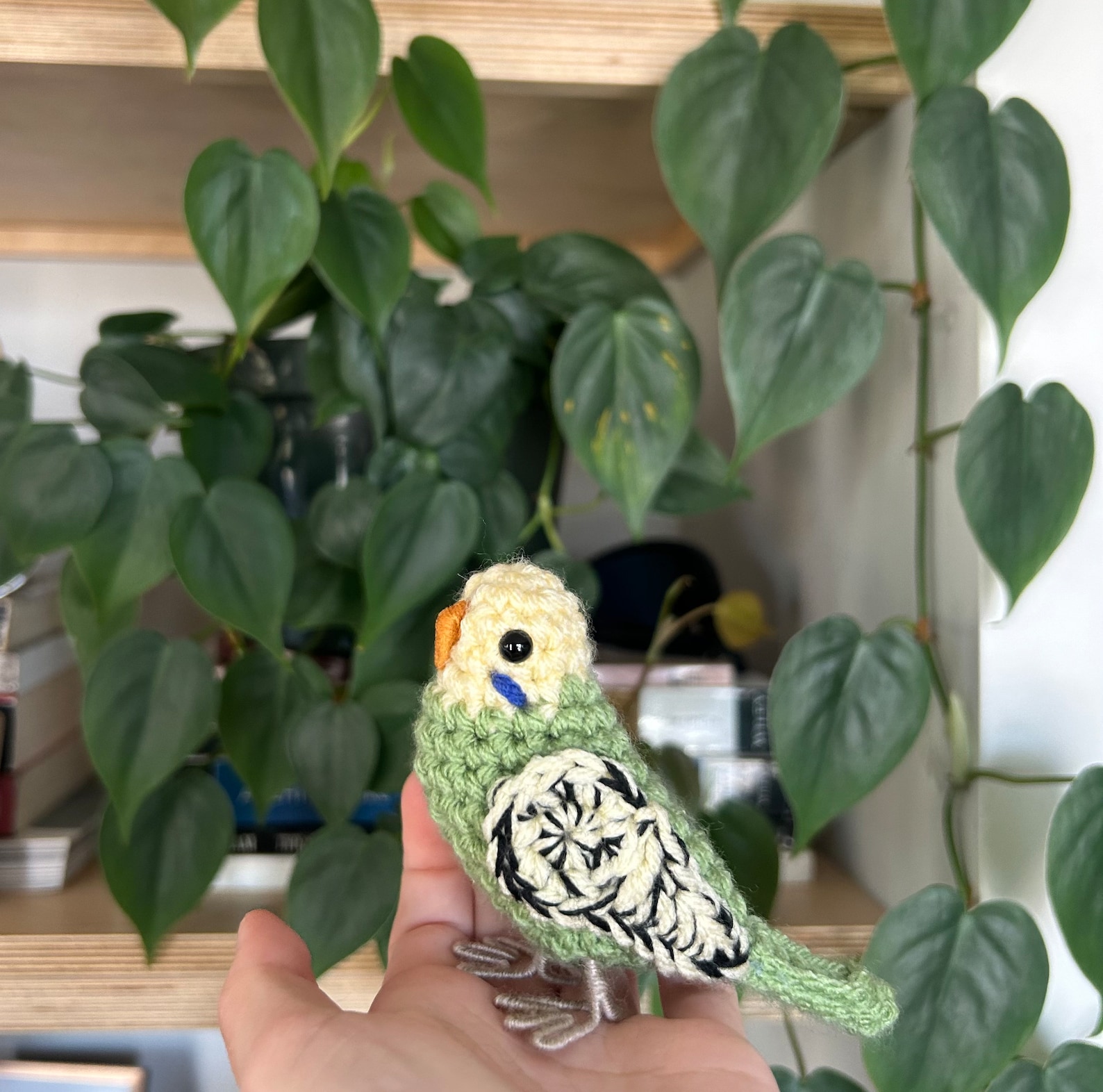 Crochet Little Parakeets Crochet Amigurumi Crochet Budgie Plush Toy ...