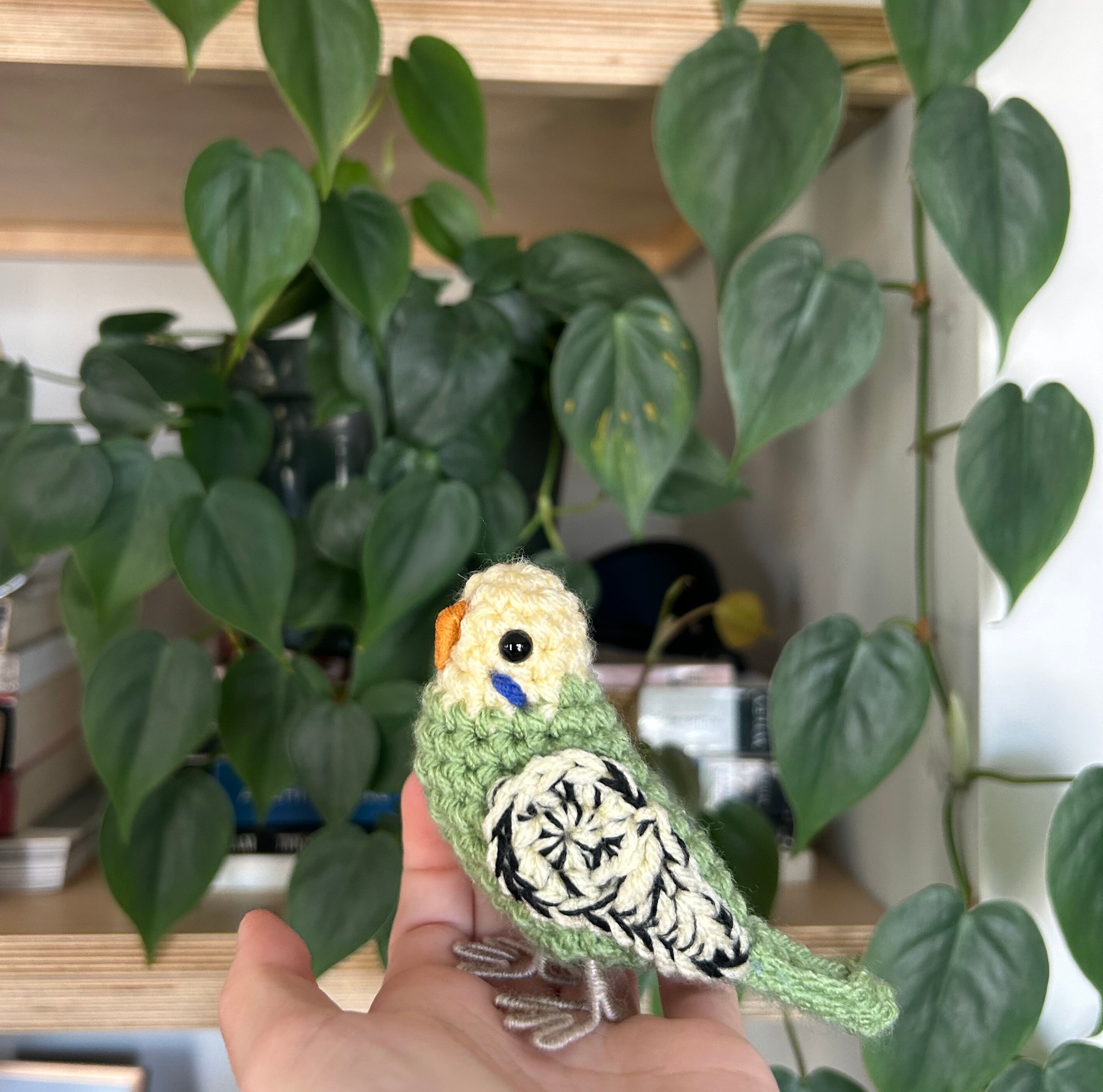 Crochet Little Parakeets | Crochet Amigurumi | Crochet Budgie Plush Toy ...