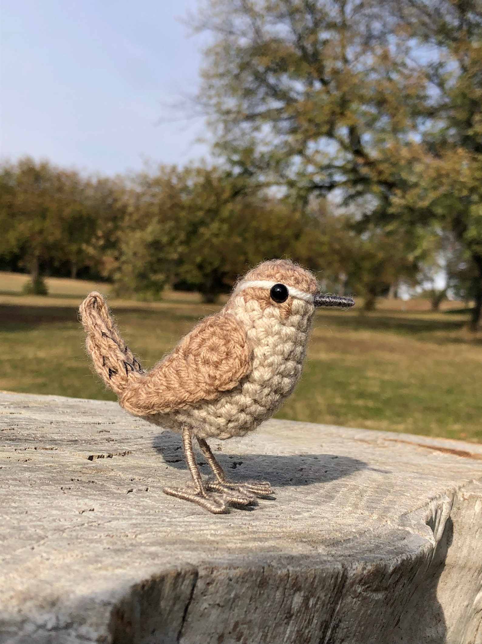 Little Wren Written Crochet Pattern | Realistic Bird Crochet Pattern ...