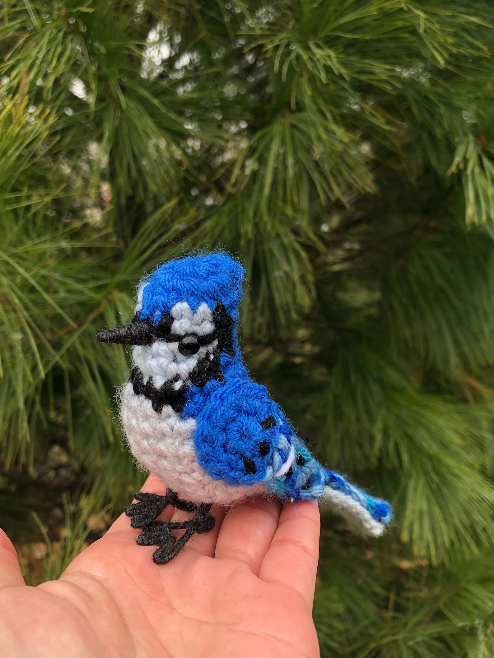 Beautiful Blue Jay Written Crochet Pattern | Realistic Bird Crochet ...
