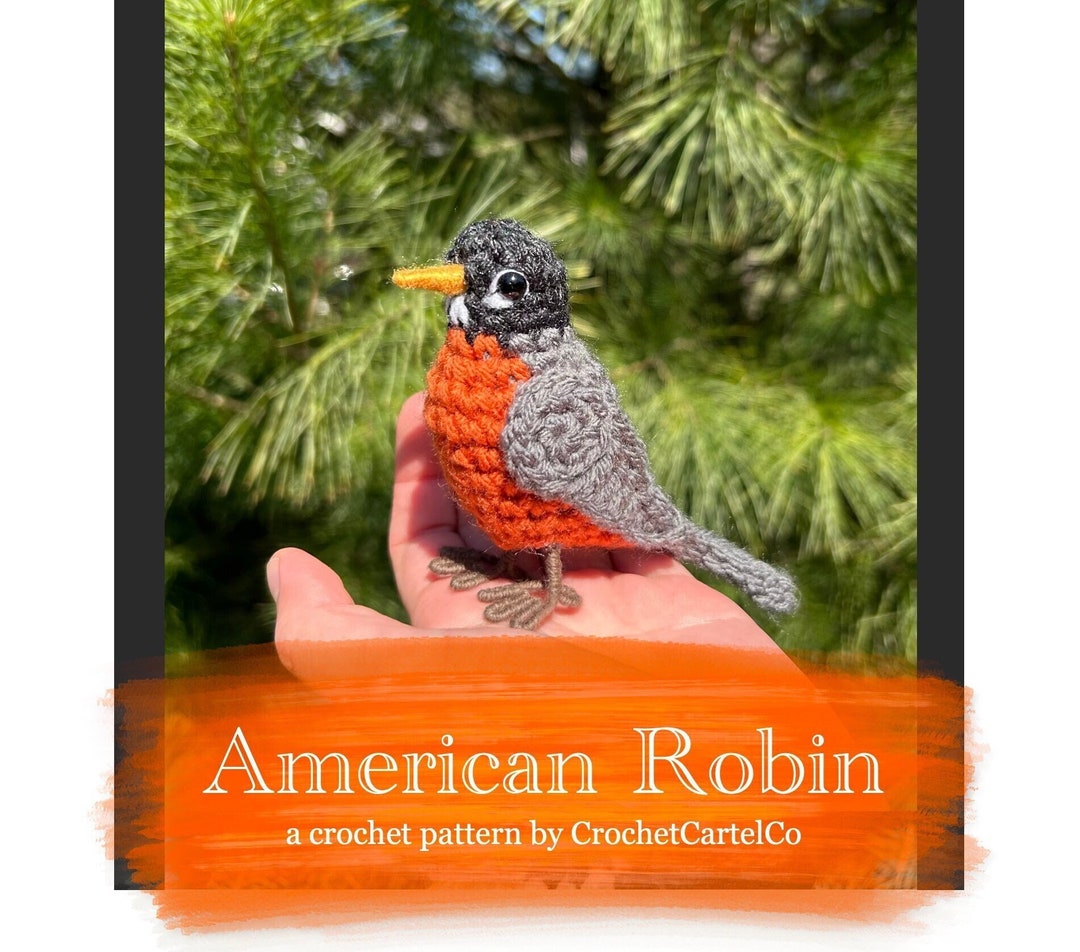 American Robin Written Crochet Pattern | Realistic Garden Bird Crochet ...