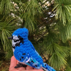 Beautiful Blue Jay Written Crochet Pattern | Realistic Bird Crochet ...