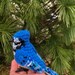 Beautiful Blue Jay Written Crochet Pattern | Realistic Bird Crochet ...