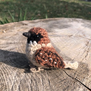Male + Female Sparrow Crochet Pattern Bundle | Realistic Garden Bird ...