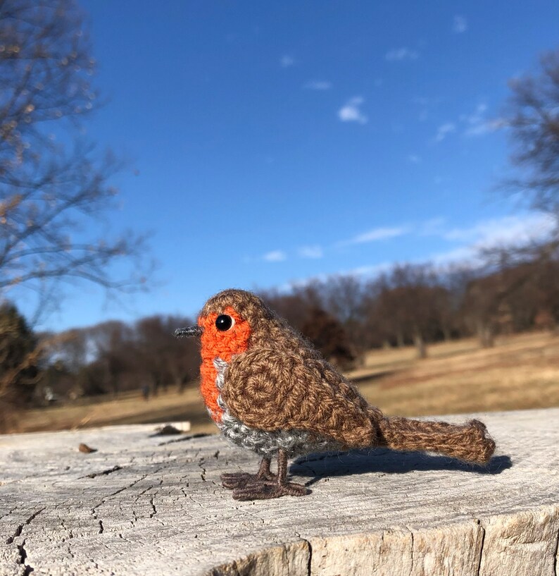 Crochet Little European Robin | Crochet Amigurumi | Crochet Plush Toy ...
