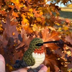 Ruby Throated Hummingbird Written Crochet Pattern | Realistic Bird ...