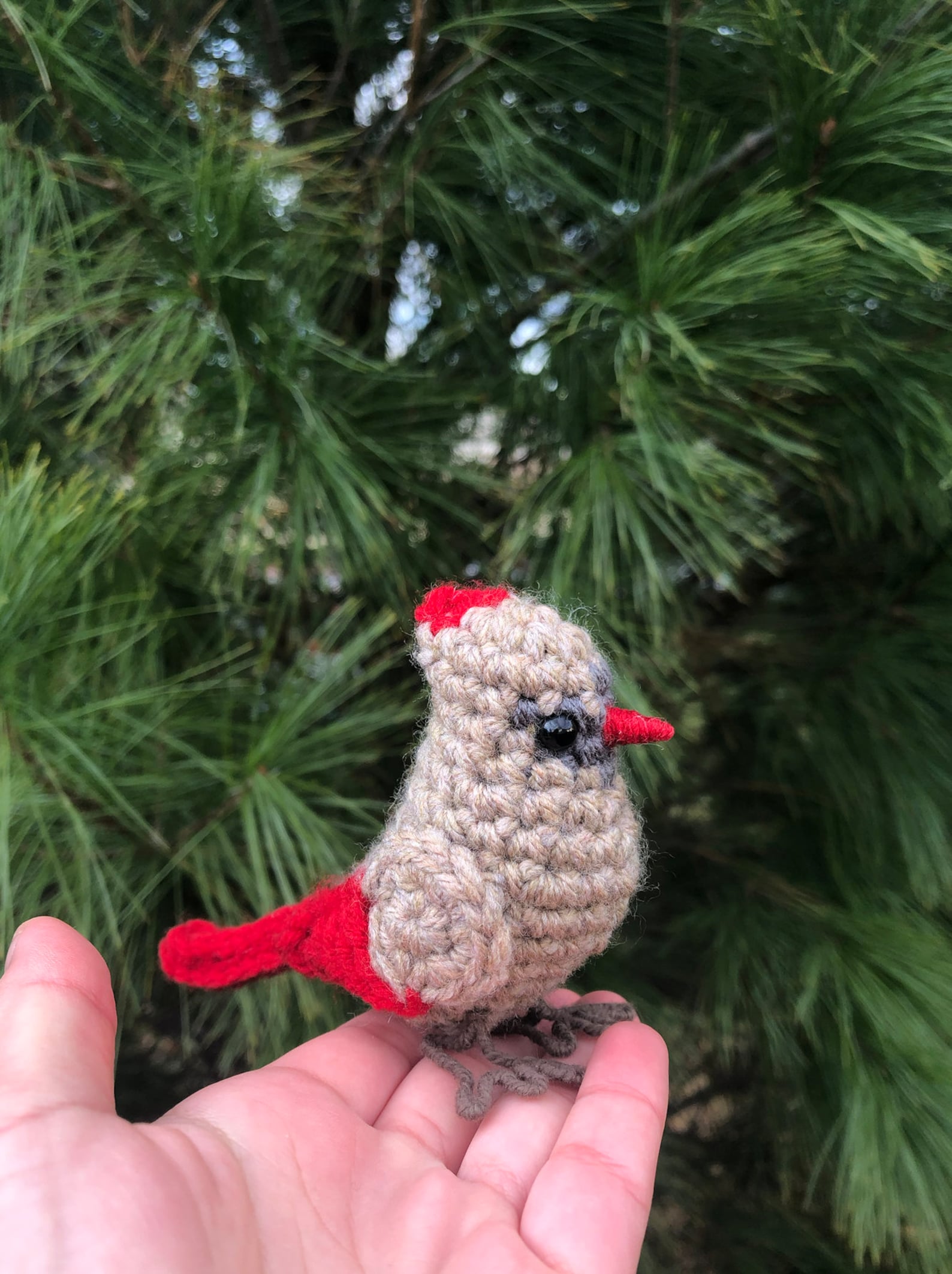 Female Cardinal Written Crochet Pattern | Crochet Amigurumi | Realistic ...