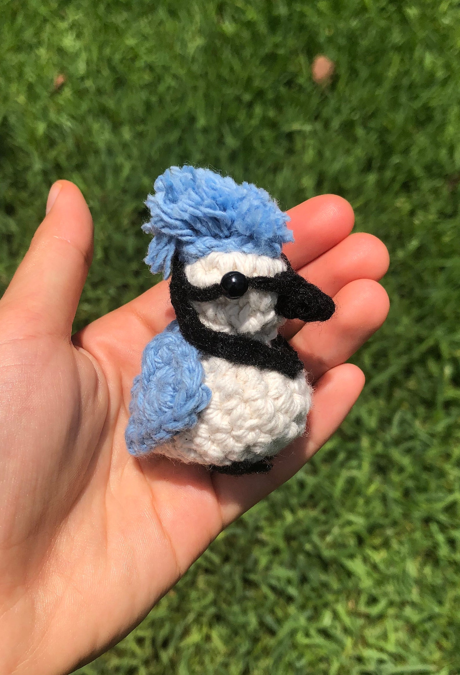 Baby Blue Jay Written Crochet Pattern Crochet Amigurumi | Etsy