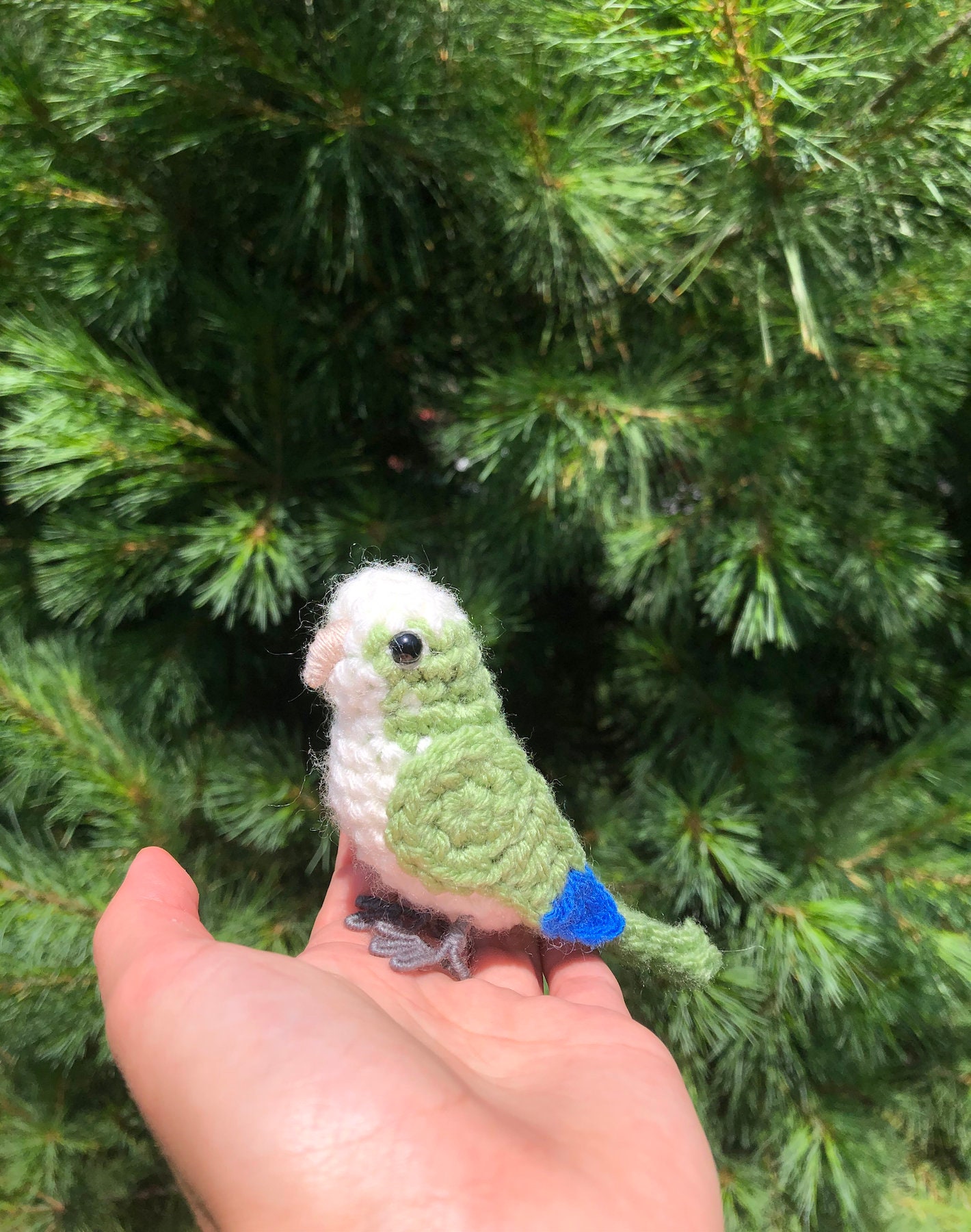 Crochet Quaker Parrot | Realistic Bird Figure | Crochet Parrot ...