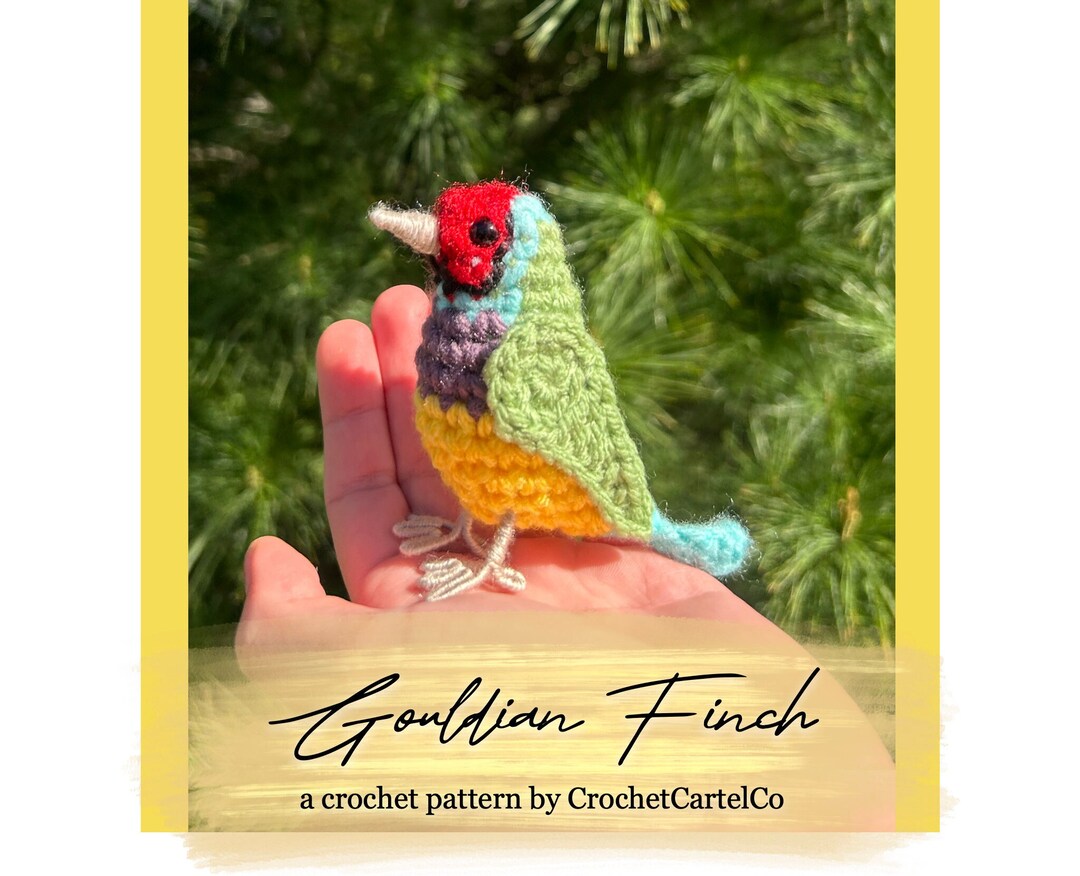 Gouldian Finch Written Crochet Pattern | Crochet Bird Amigurumi ...