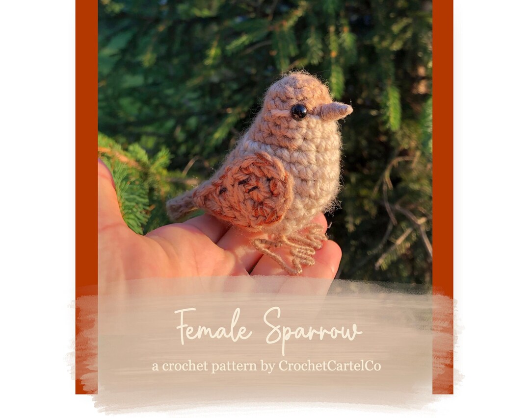 Little Female Sparrow Written Crochet Pattern | Realistic Garden Bird ...