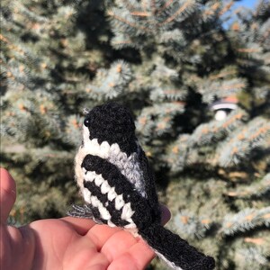 Crochet Little Chickadee | Crochet Amigurumi | Crochet Bird | Plush Toy ...