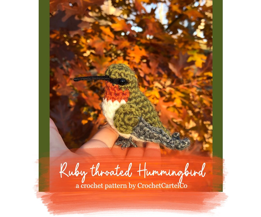 Ruby Throated Hummingbird Written Crochet Pattern | Realistic Bird ...