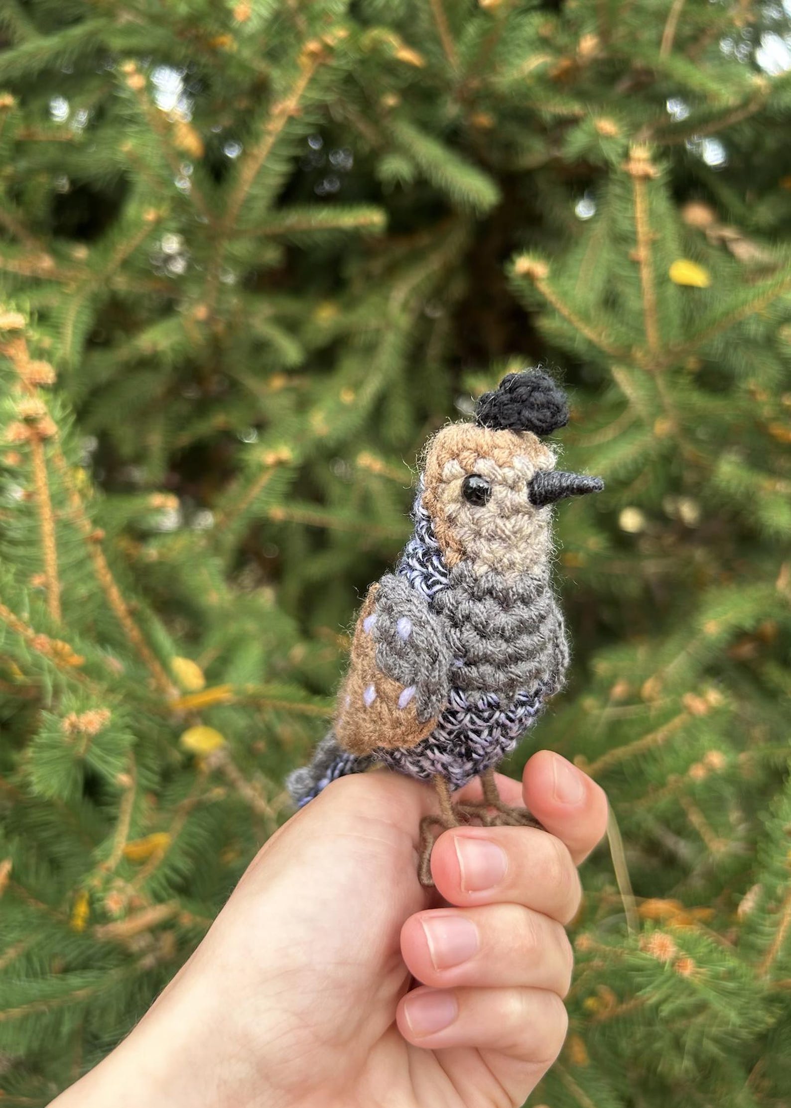 Female California Quail Written Crochet Pattern | Crochet Bird ...