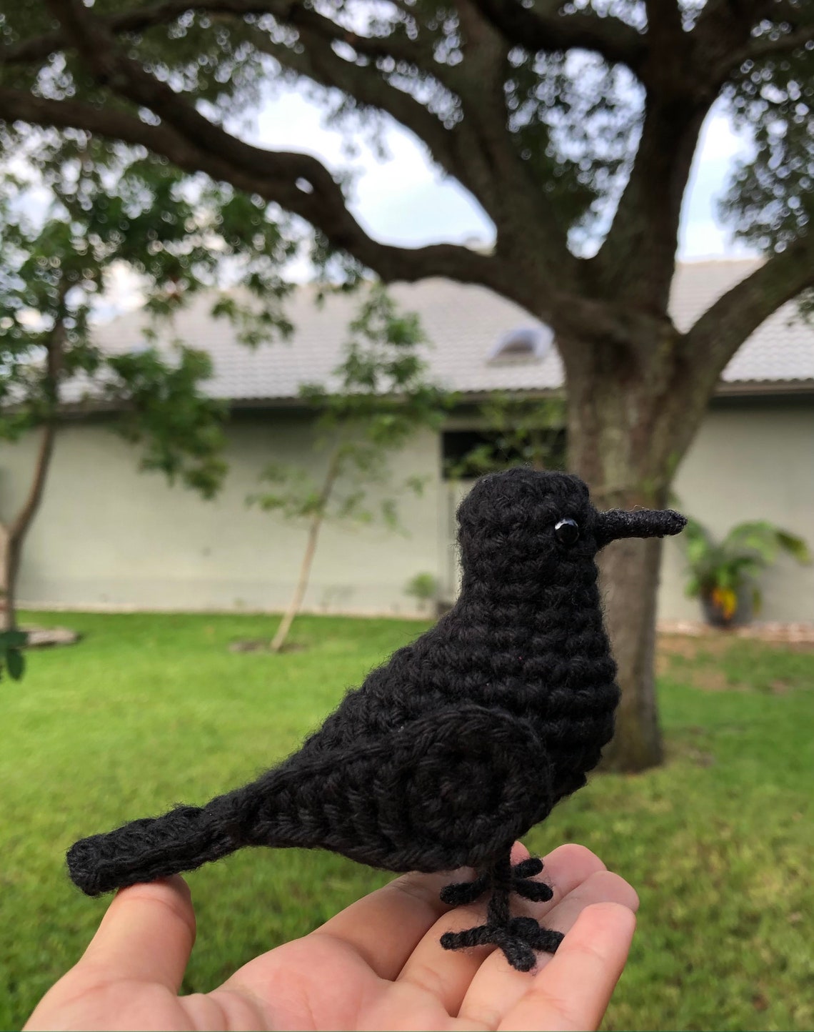 Little Crow Written Crochet Pattern Blackbird / Raven - Etsy Canada