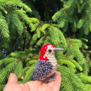 Red-bellied Woodpecker Written Crochet Pattern | Realistic Garden Bird ...