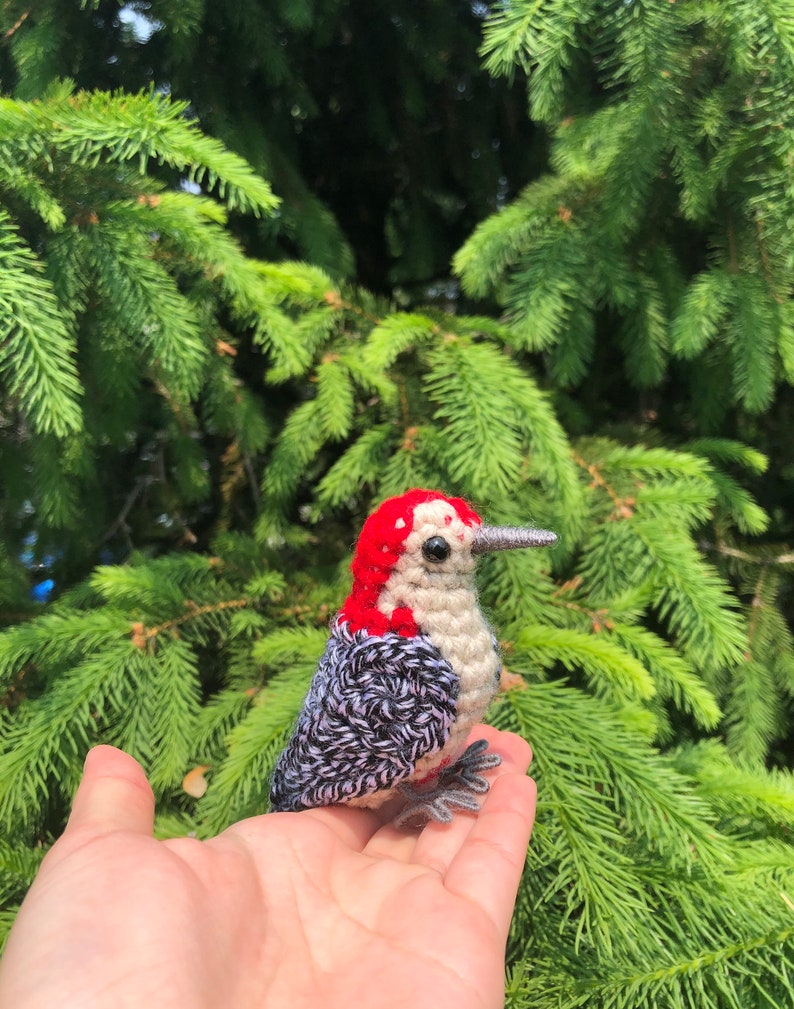 Red-bellied Woodpecker Written Crochet Pattern | Realistic Garden Bird ...
