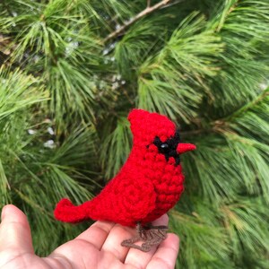 Birds of North America Crochet Pattern Bundle | 4 Realistic Crochet ...