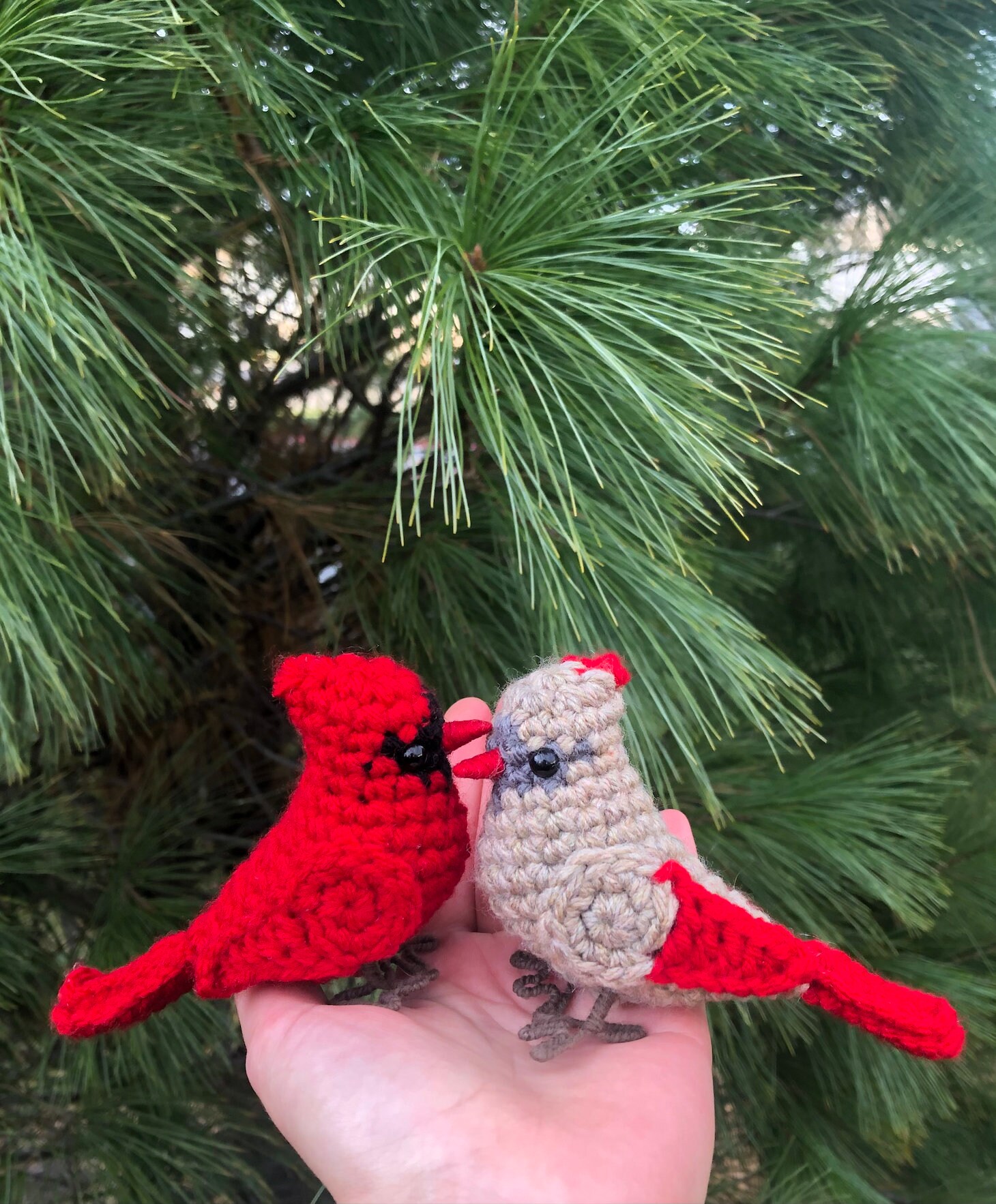 Male Female Cardinal Crochet Pattern Bundle Realistic Bird - Etsy
