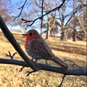Crochet Little European Robin | Crochet Amigurumi | Crochet Plush Toy ...