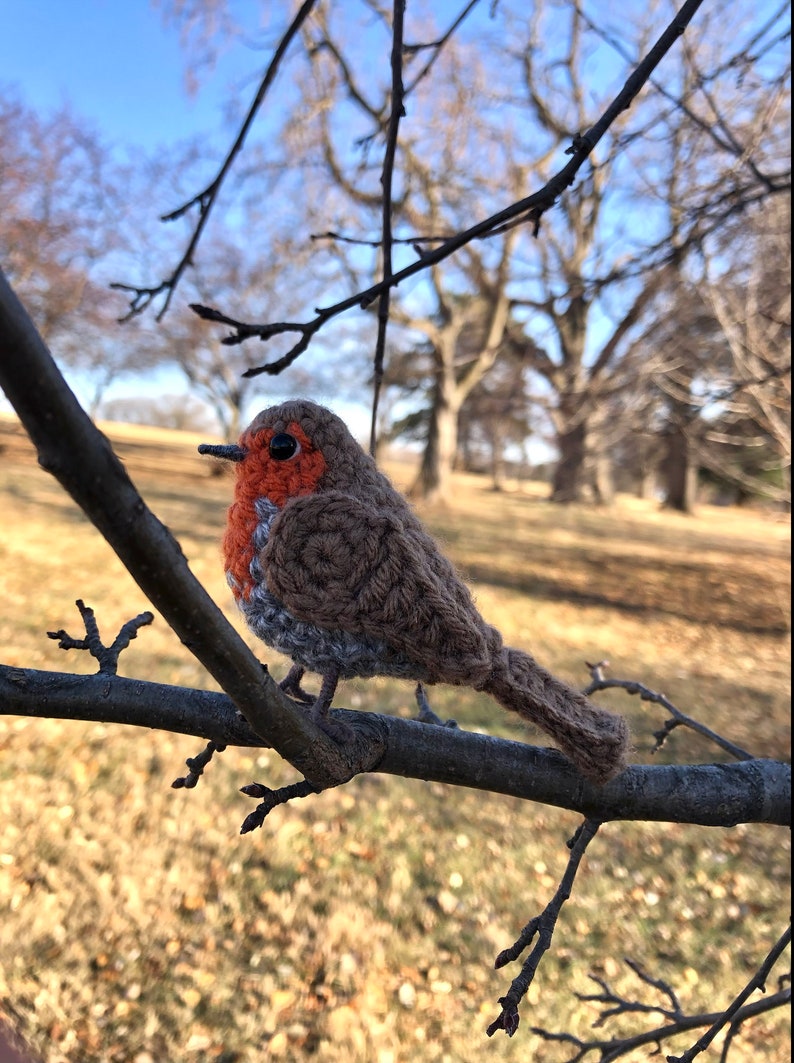 Crochet Little European Robin Crochet Amigurumi Crochet - Etsy